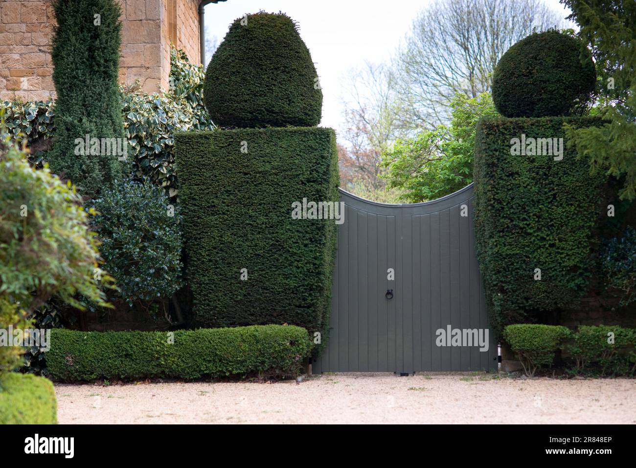 A row of hedges along the main street of Boradway, England Stock Photo ...