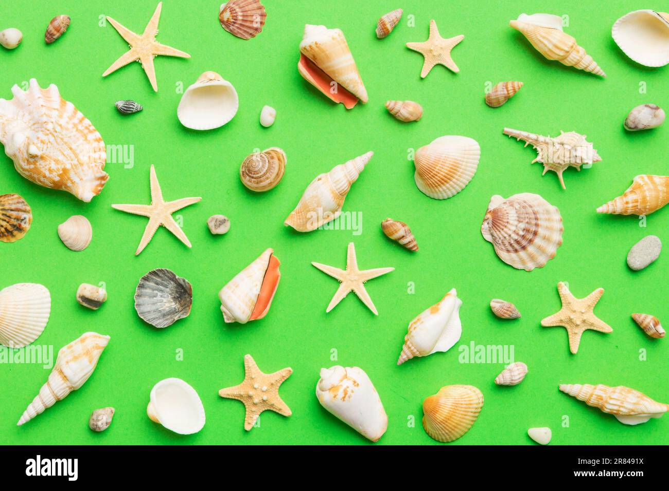 Summer time concept Flat lay composition with beautiful starfish and ...