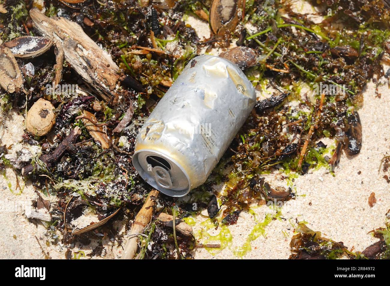 Rotten can, beach, Mauritius Stock Photo - Alamy