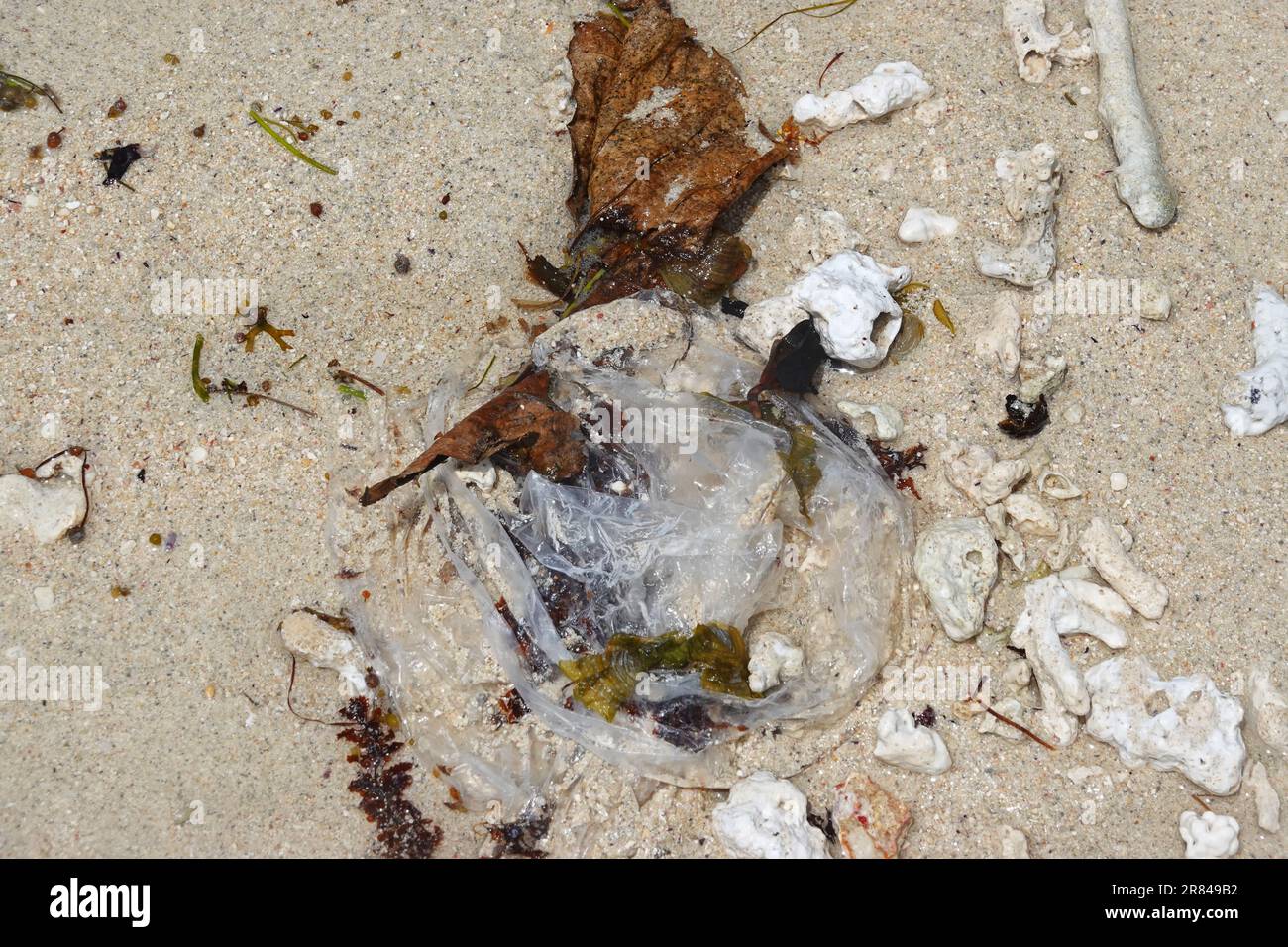 Plastic waste, beach of Mauritius Stock Photo - Alamy