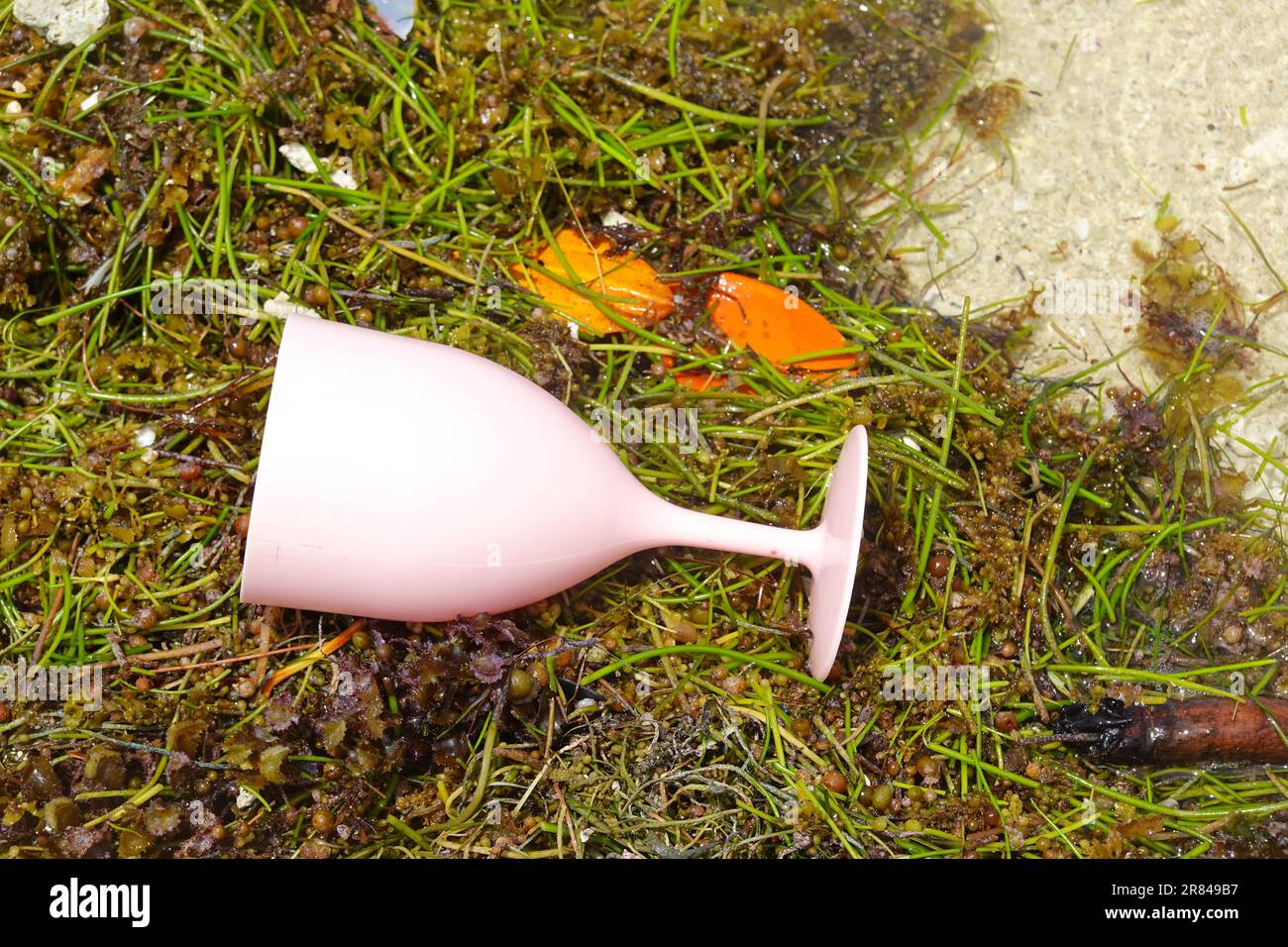 Plastic waste, beach of Mauritius Stock Photo - Alamy