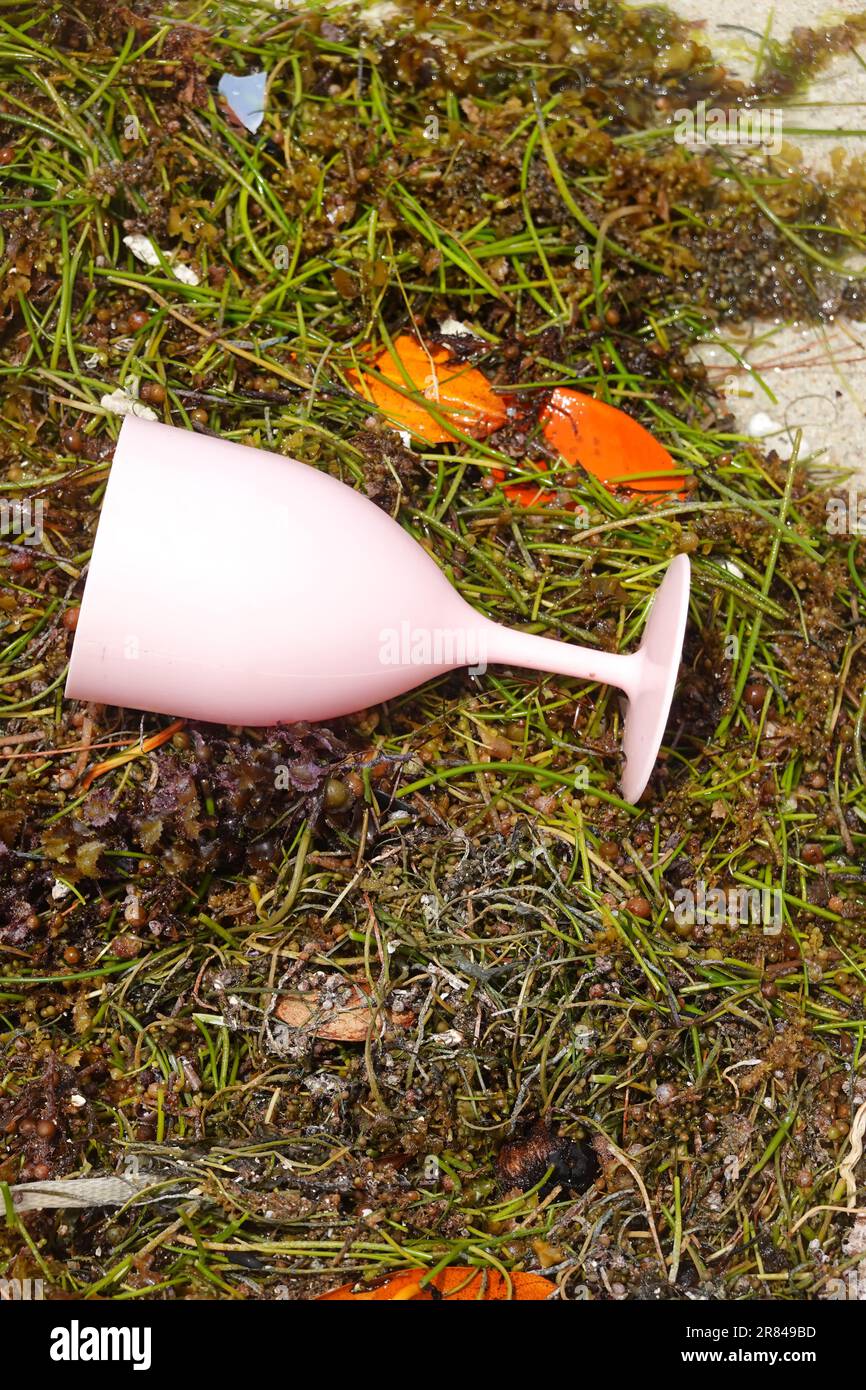 Plastic waste, beach of Mauritius Stock Photo - Alamy