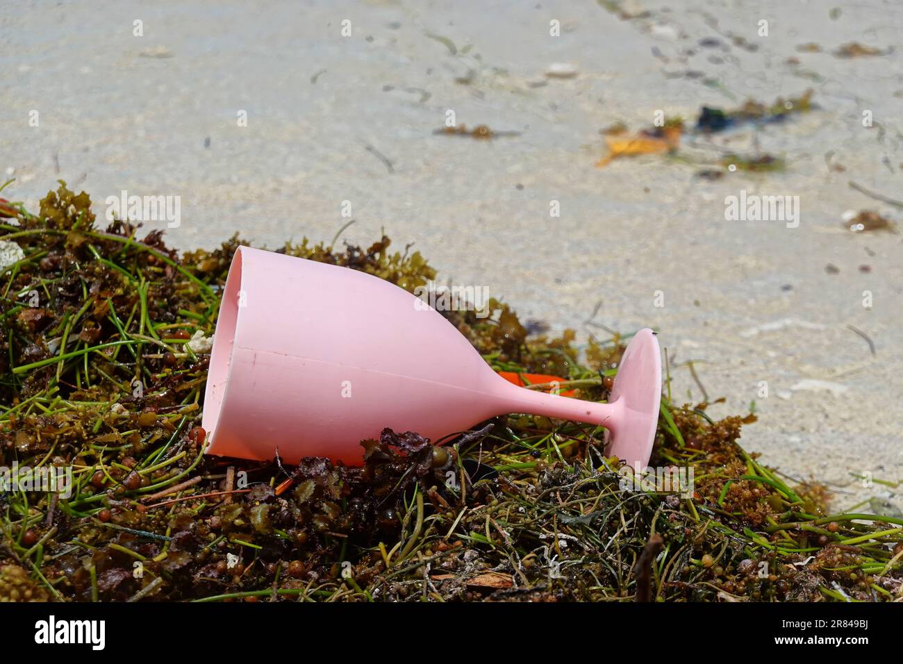 Plastic waste, beach of Mauritius Stock Photo - Alamy