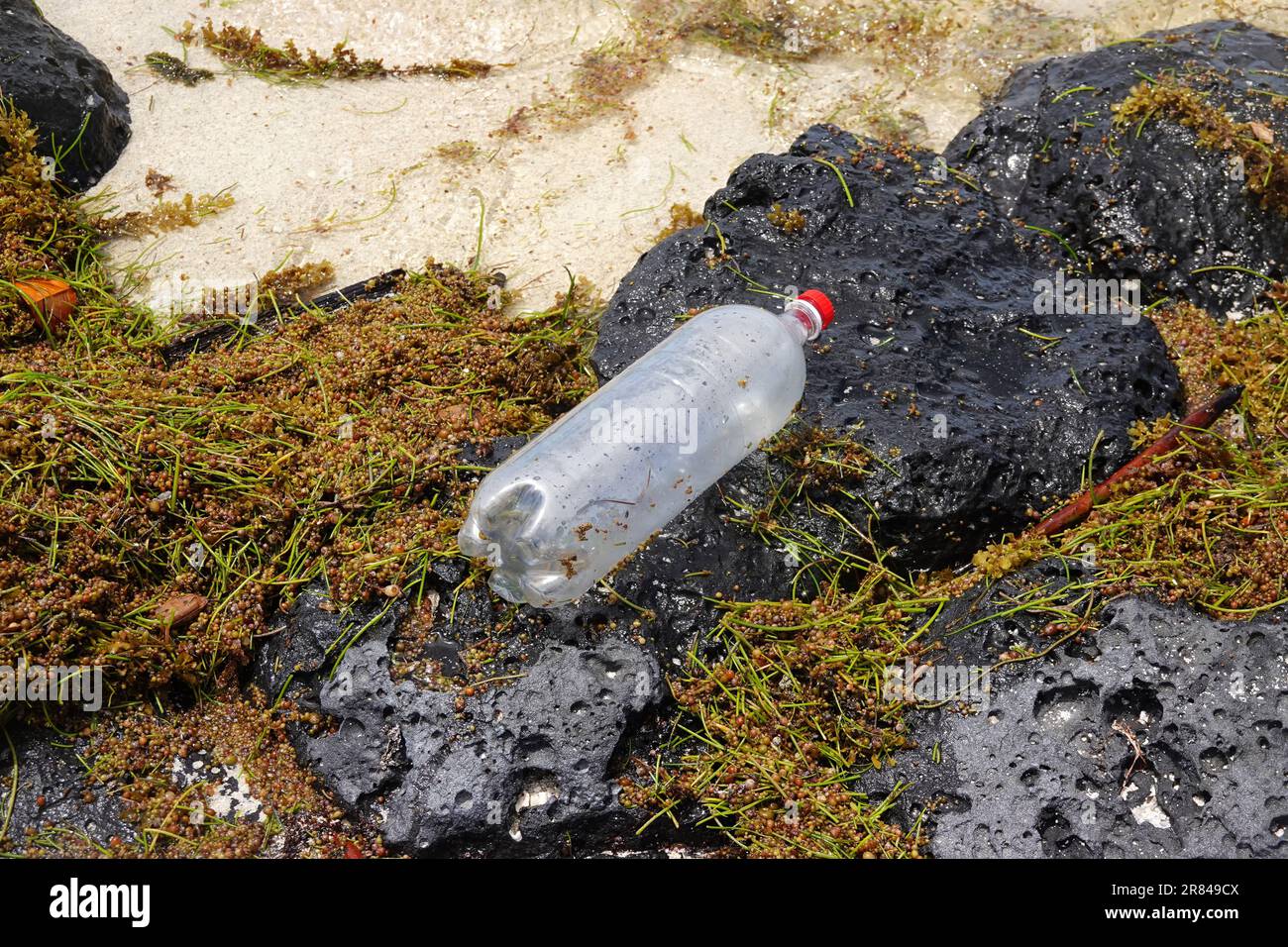 Plastic waste, beach of Mauritius Stock Photo - Alamy