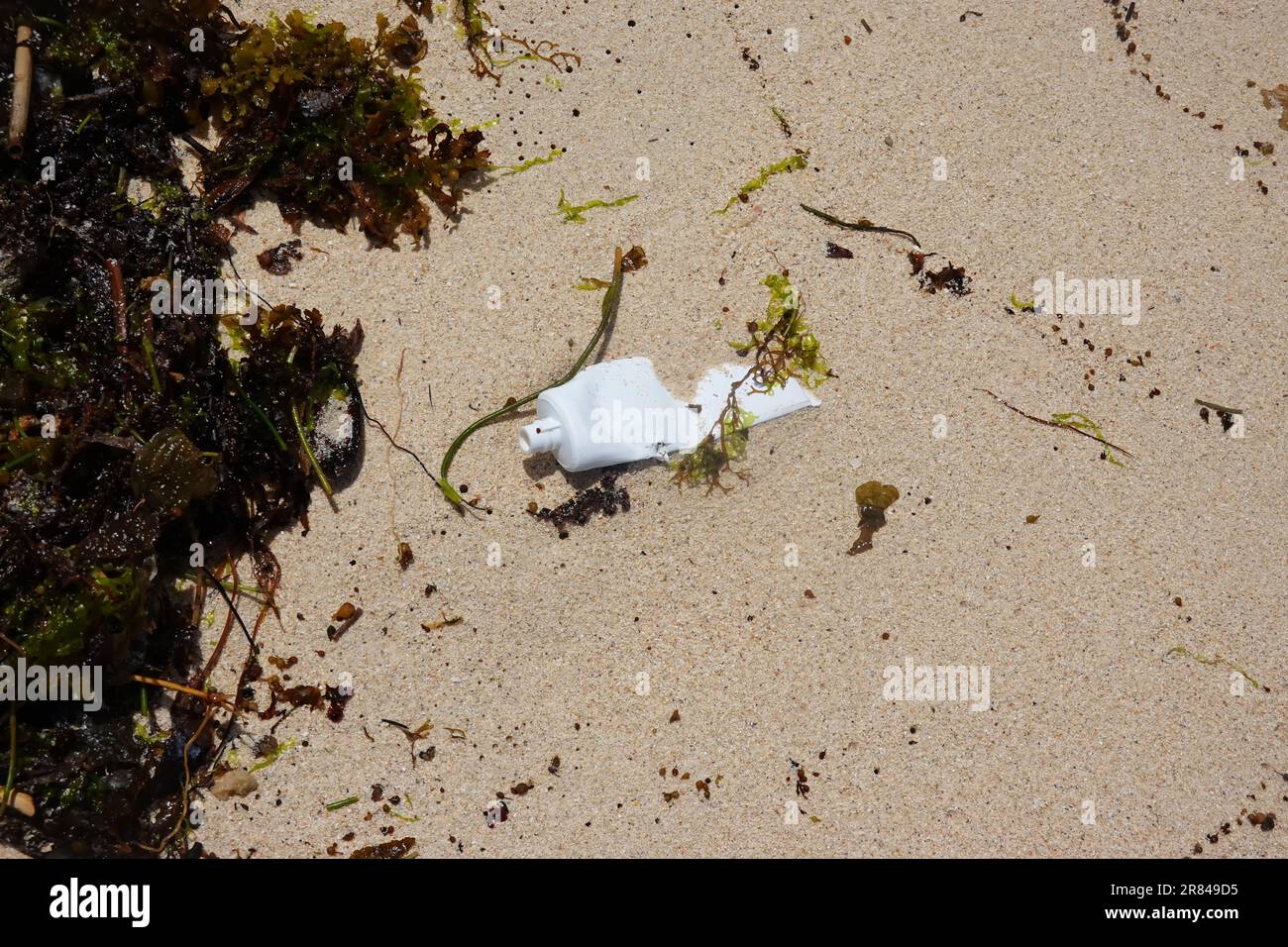 Plastic waste, beach of Mauritius Stock Photo - Alamy