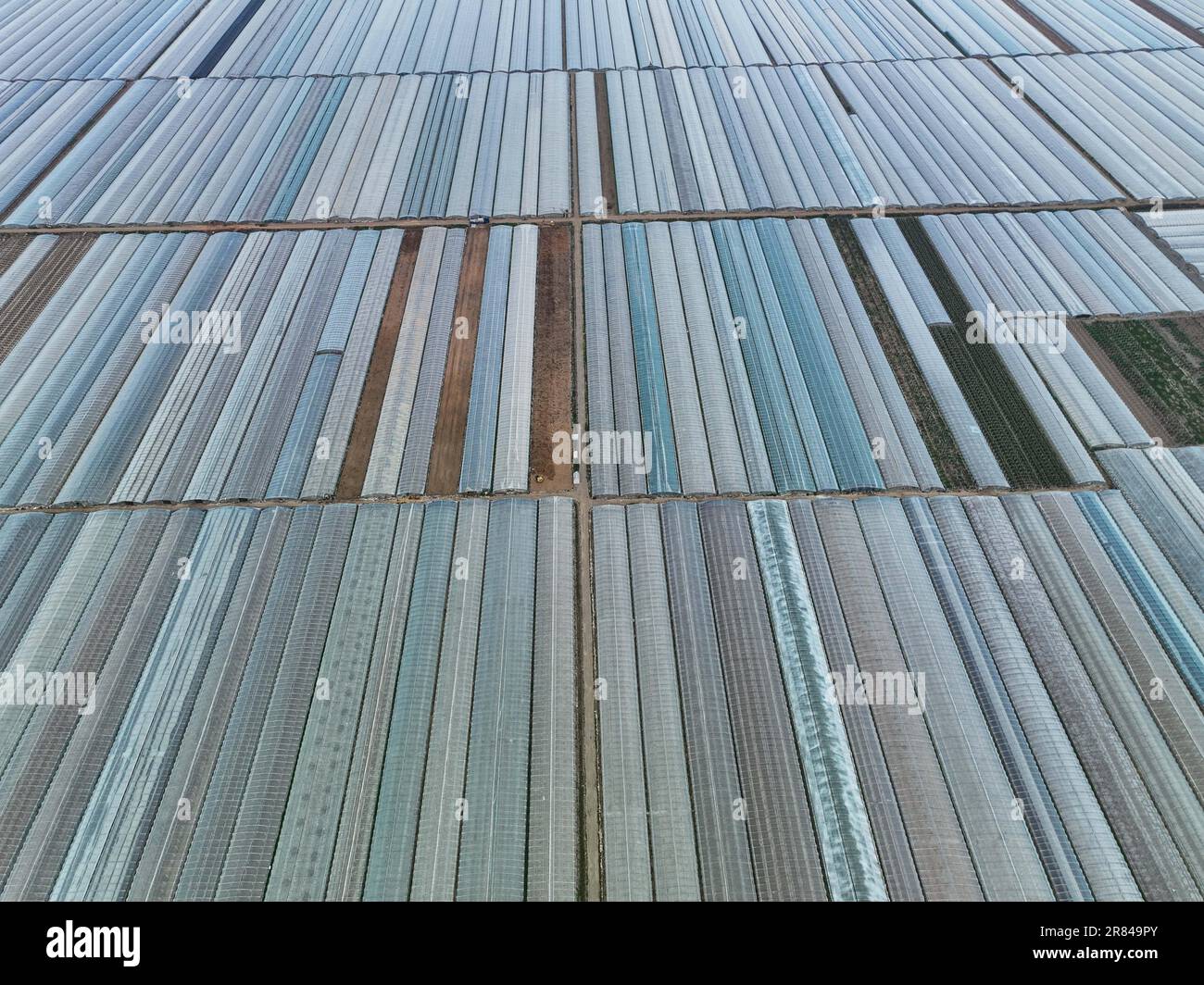 Aerial photo taken on June 19, 2023 shows agricultural greenhouses in ...