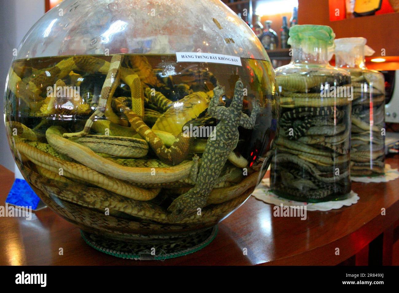 Snakes of vietnam hi-res stock photography and images - Alamy