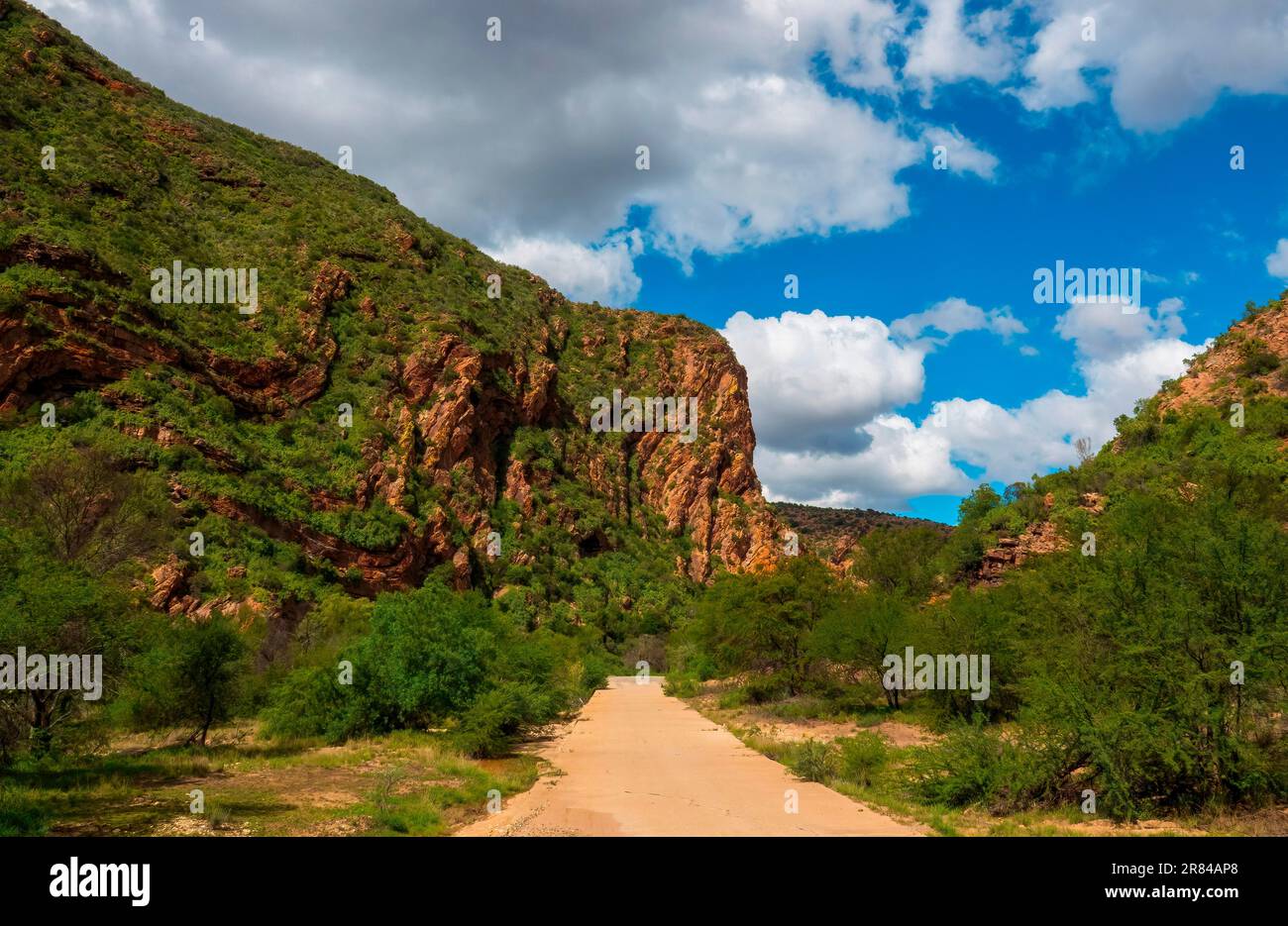 Valley of the baboons. The Baviaanskloof provides some spectacular ...