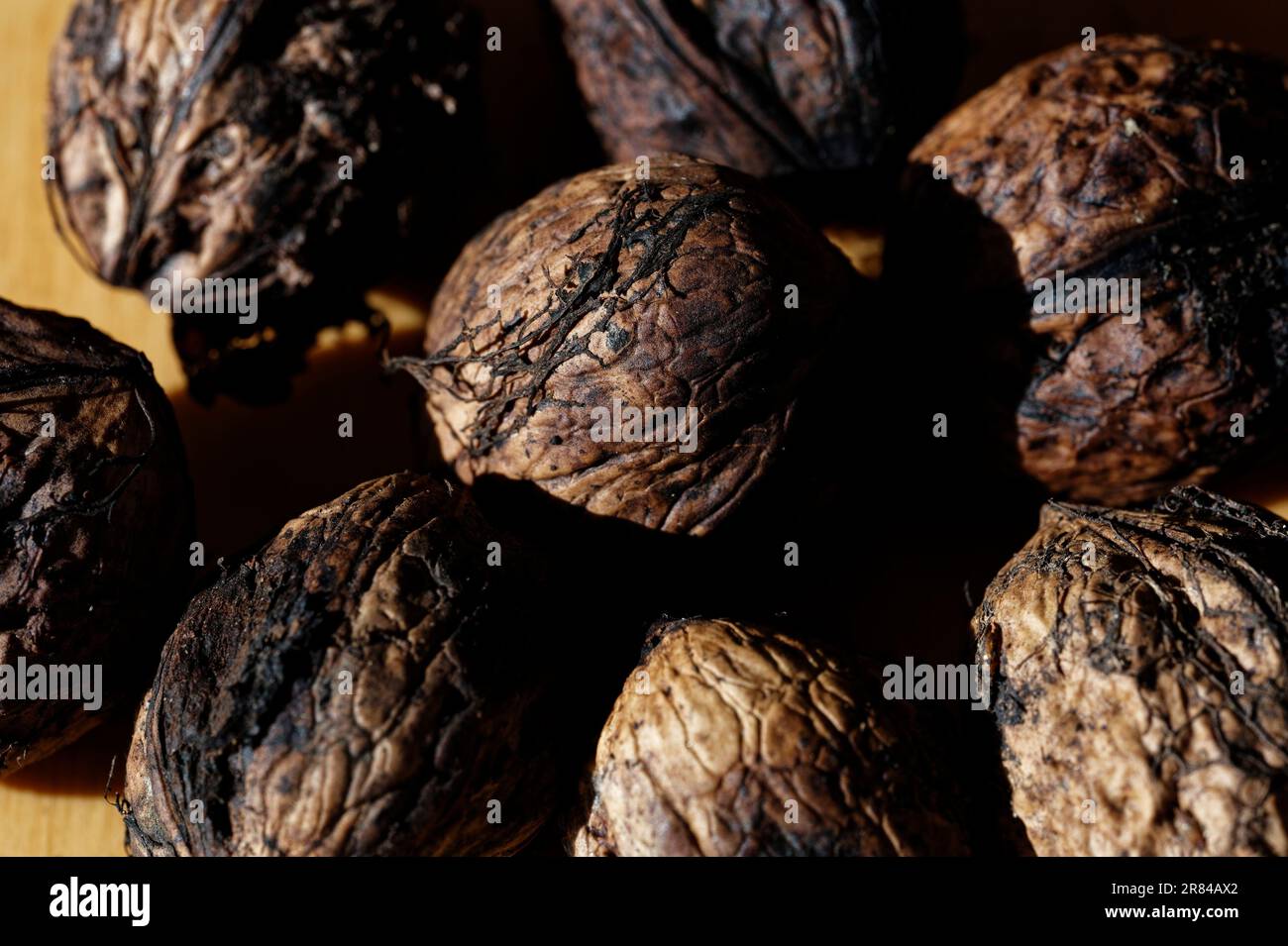 Remnants of the walnut's flesh are still stuck to the shell of the nut ...