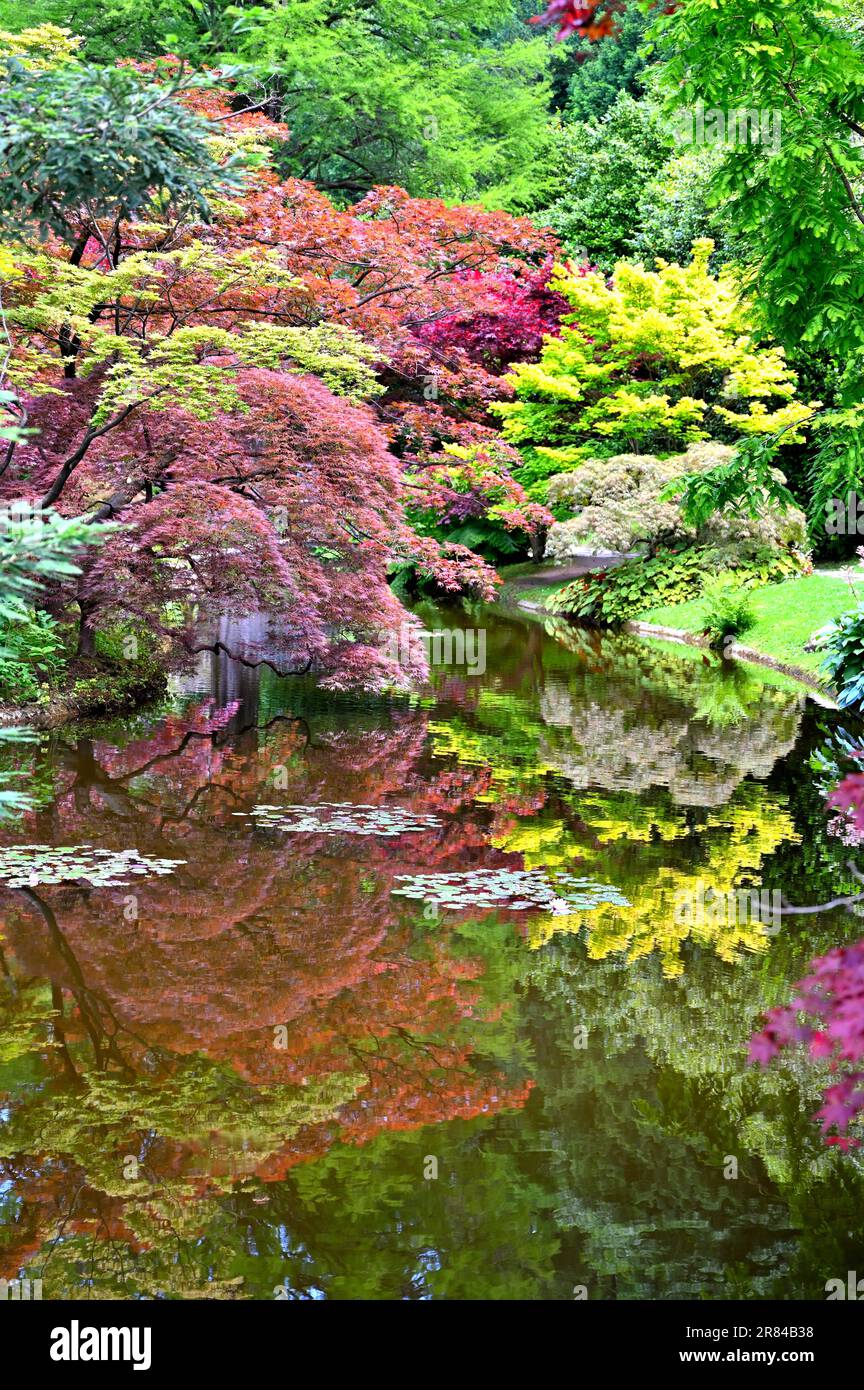 Pond at the Beautiful Melzi Gardens in Bellagio, Lake Como, Italy Stock ...