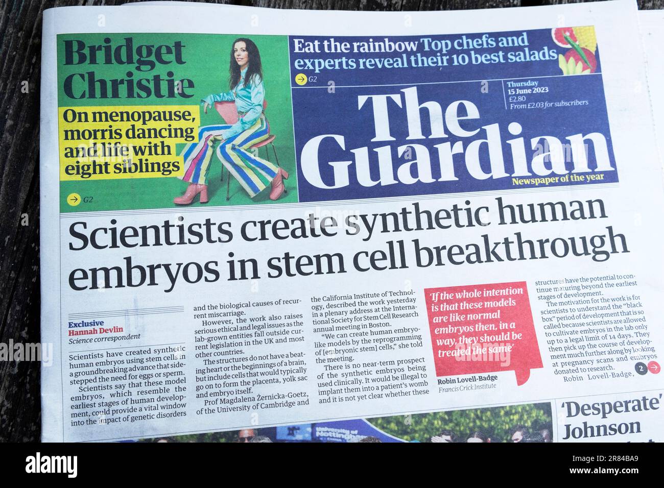 'Scientists create synthetic human embryos in stem cell breakthrough ... 'Scientists create synthetic human embryos in stem cell breakthrough ...