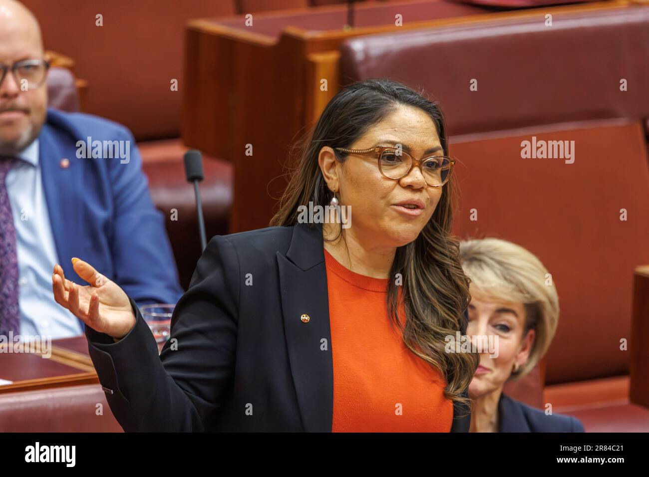 Australian Senate about the Constitution Alteration (Aboriginal and ...