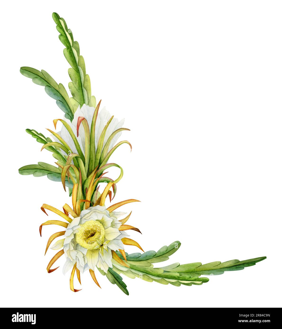 Border green leaves in Cut Out Stock Images & Pictures - Alamy