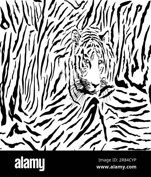 Tiger black and white black background Stock Vector Images - Alamy