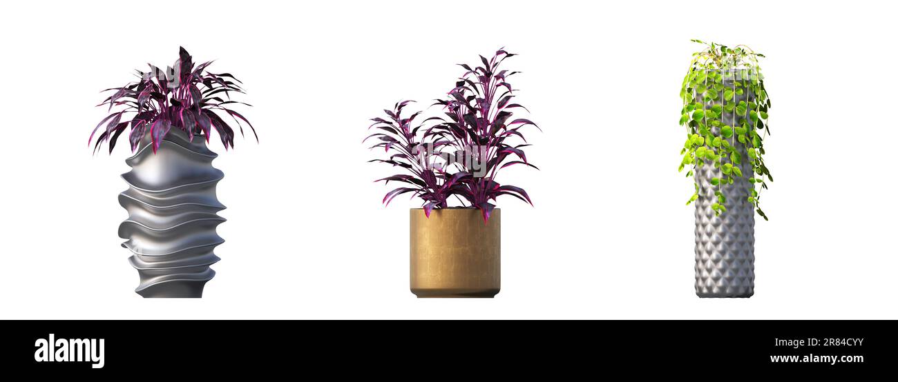 decorative flower in a pot isolated on white background, 3D ...