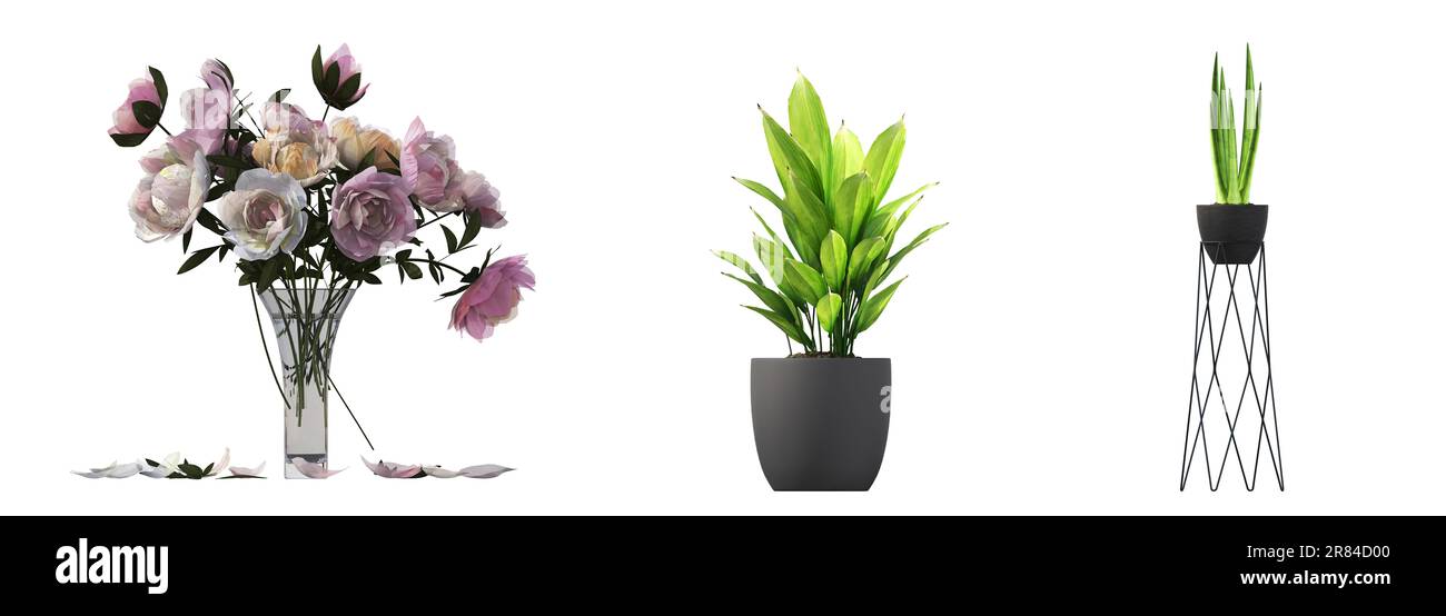 decorative flower in a pot isolated on white background, 3D ...