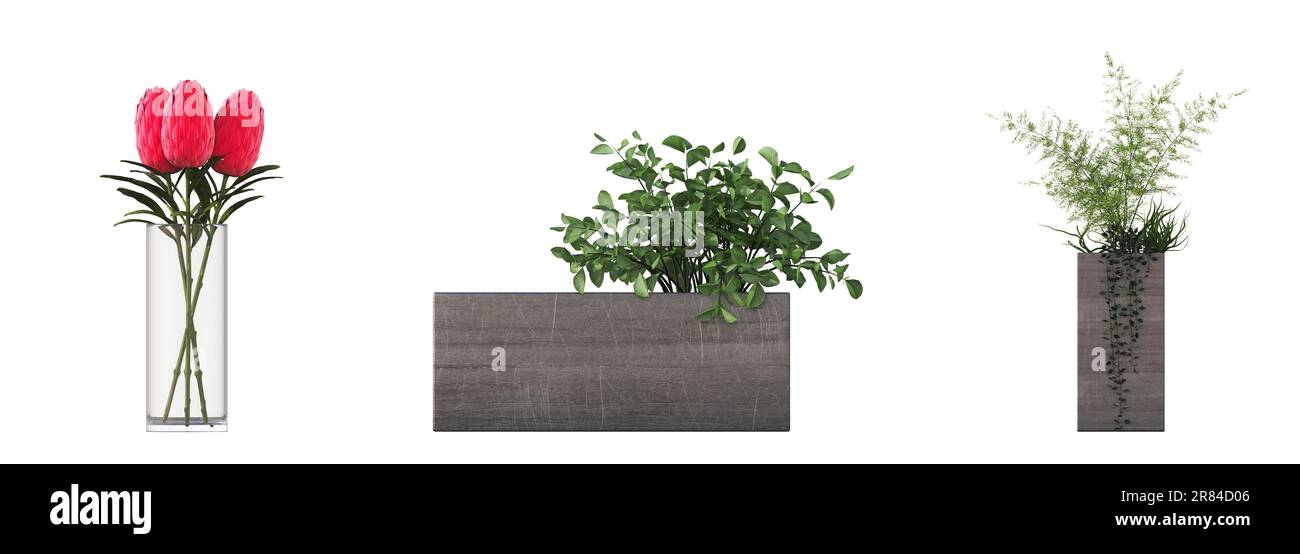 decorative flower in a pot isolated on white background, 3D ...