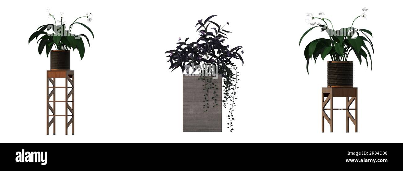 decorative flower in a pot isolated on white background, 3D ...