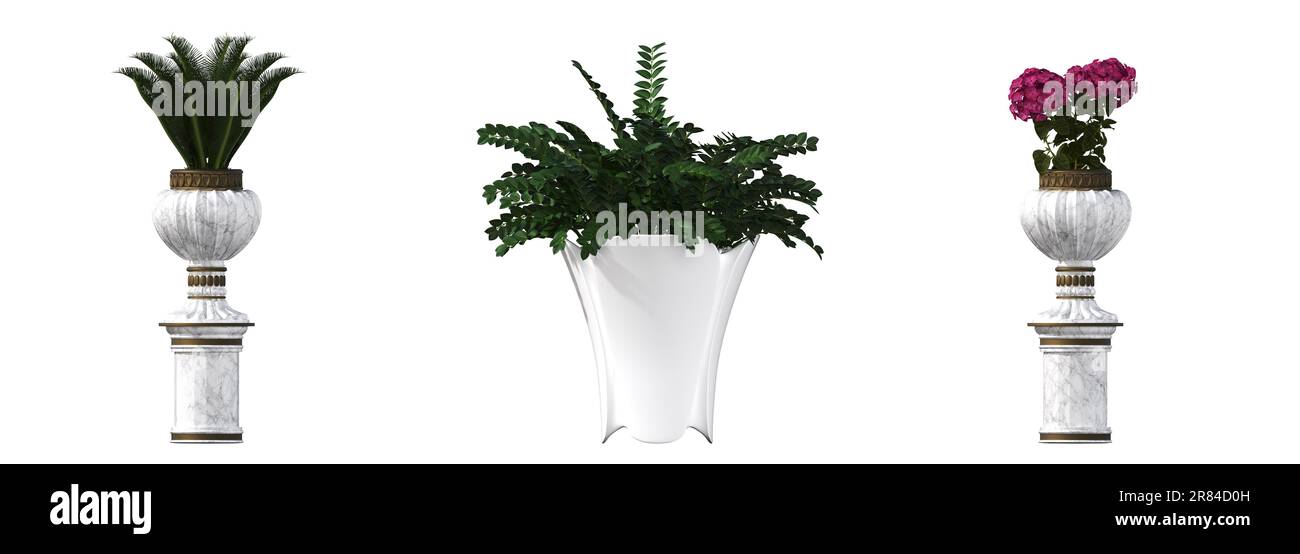 decorative flower in a pot isolated on white background, 3D ...