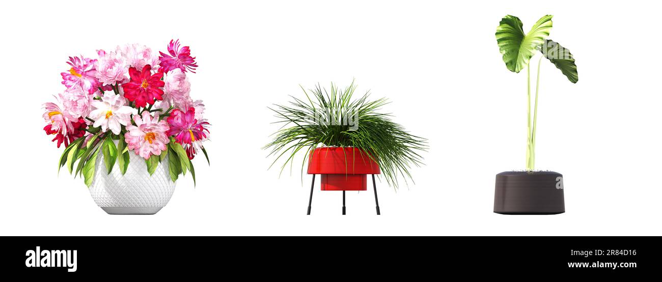 decorative flower in a pot isolated on white background, 3D ...