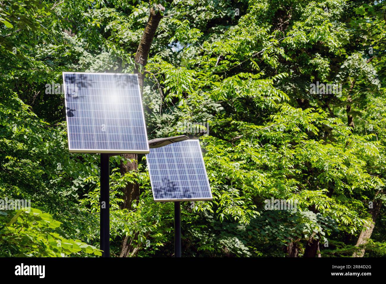 Conservation green hi-res stock photography and images - Alamy