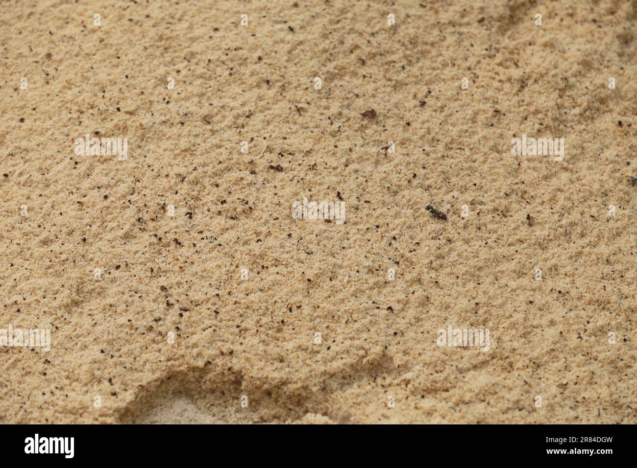 Sawdust wood in a pile Stock Photo - Alamy