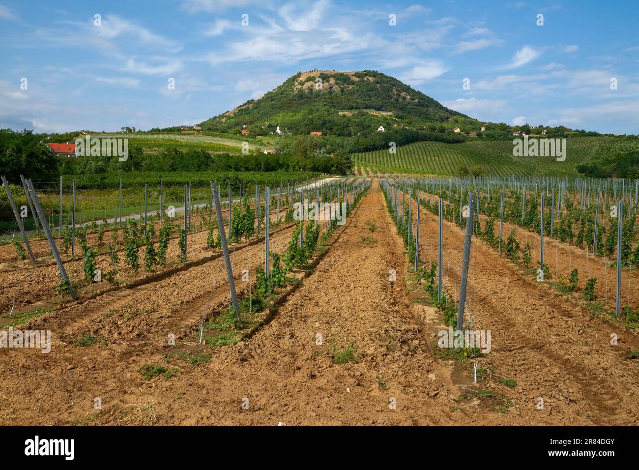 Agricultural landscape from Hungary, the mountain Csobanc Stock Photo ...