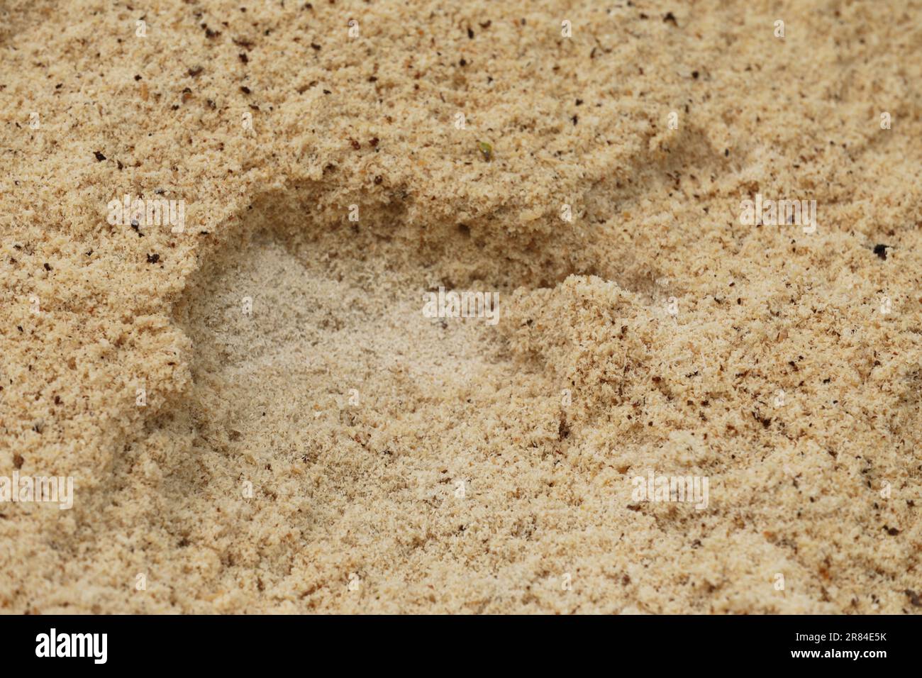 Particles plywood hi-res stock photography and images - Alamy