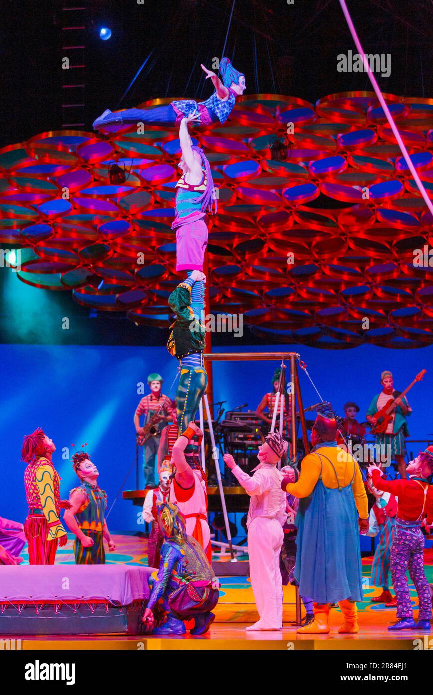 The House Troupe On The Russian Swing Act Performing In Cirque Du Soleils Saltimbanco Vector