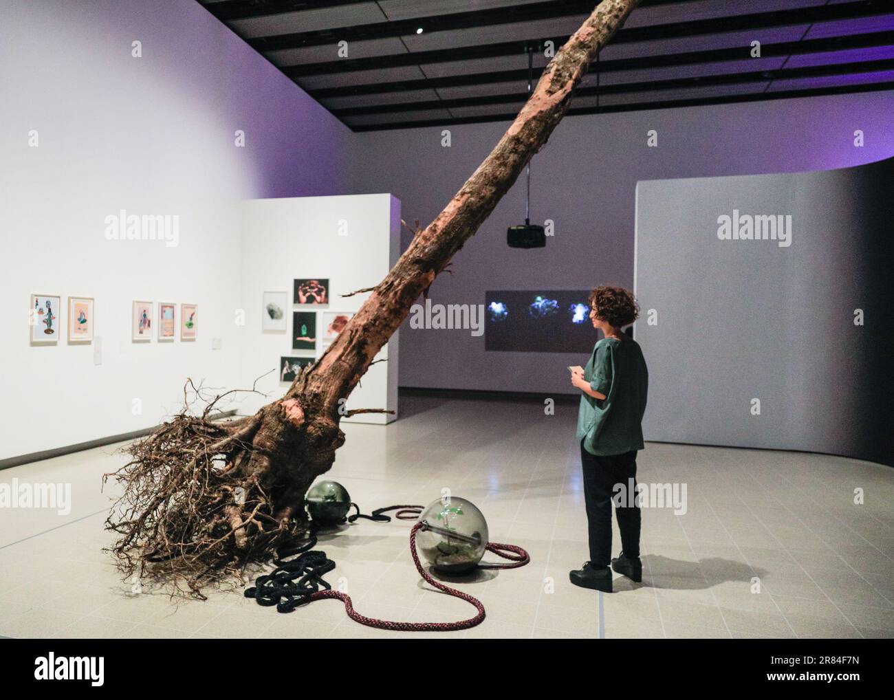 London, UK. 19th June, 2023. Otobong Nkanga's large installation of a ...