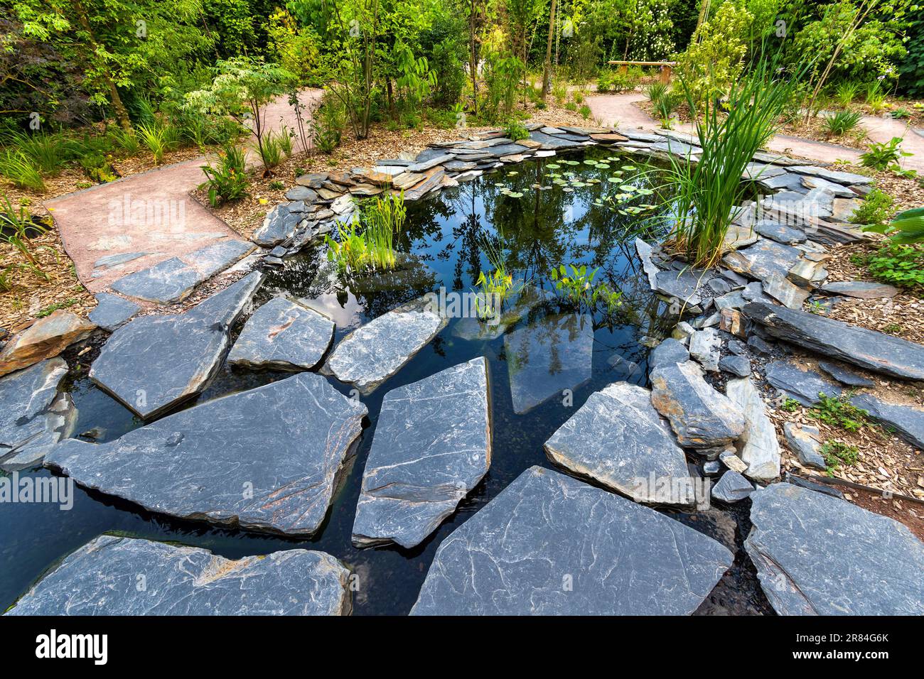 Random feature hi-res stock photography and images - Alamy