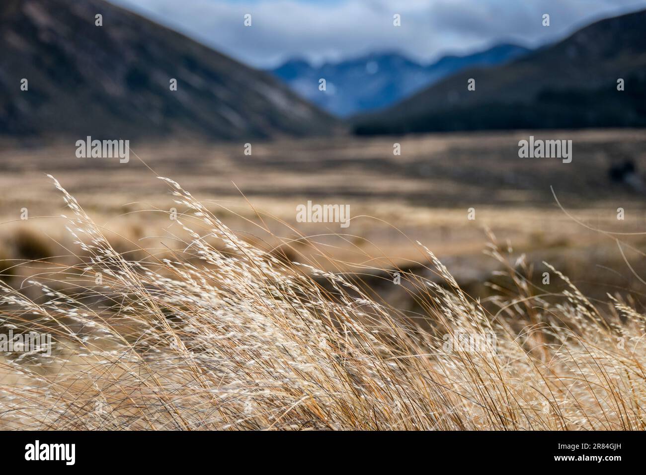 Tussock covered plains and mountains, Lake Tennyson, near Hanmer ...
