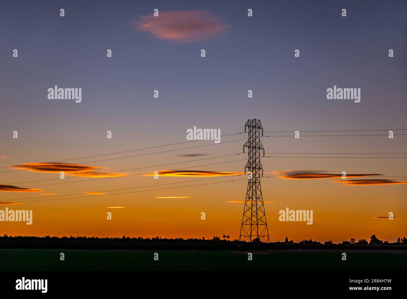 Lenticular structure hi-res stock photography and images - Alamy