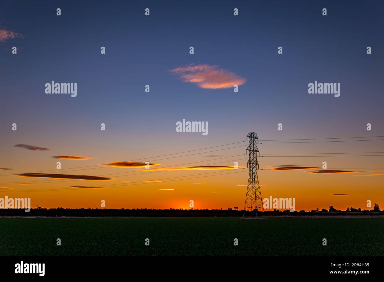Lenticular structure hi-res stock photography and images - Alamy