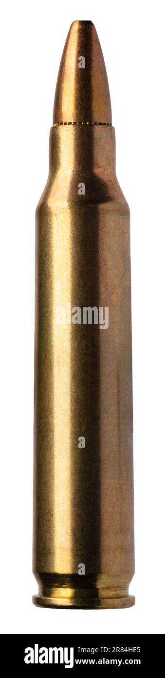 AR-15 ammunition that has a bullet with a hollow point for better ...