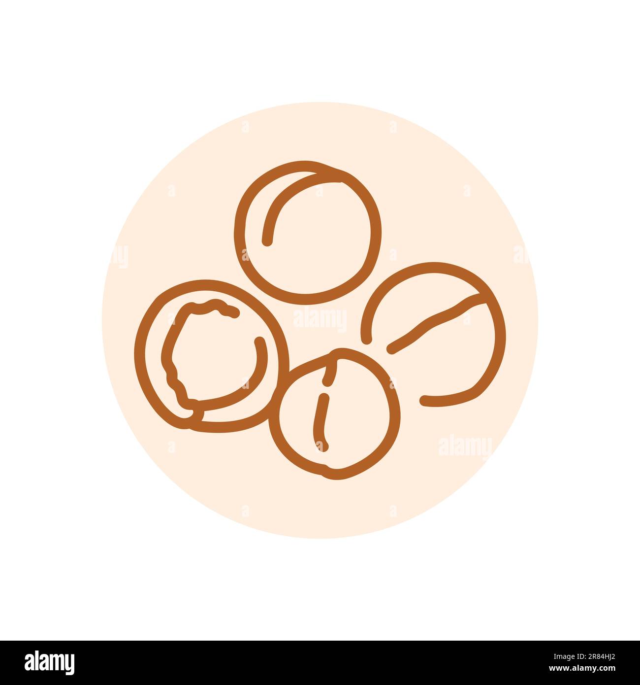 Macadamia nut black line icon. Natural organic super food. Pictogram ...