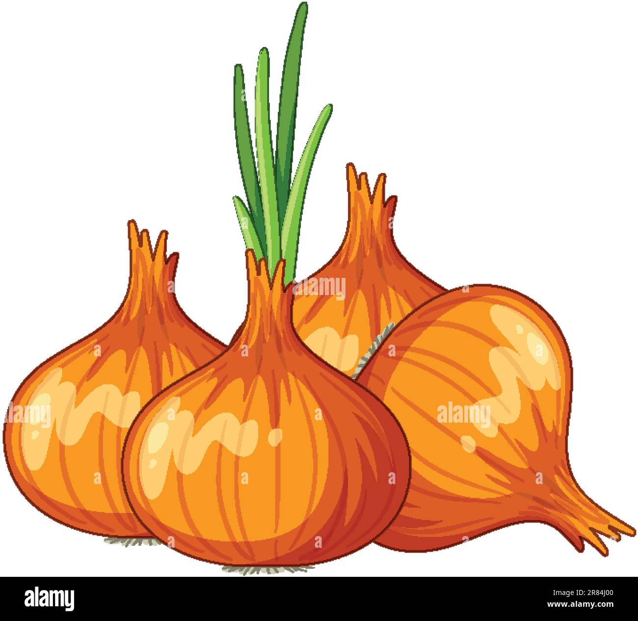 Fresh onion pile Stock Vector Images - Alamy