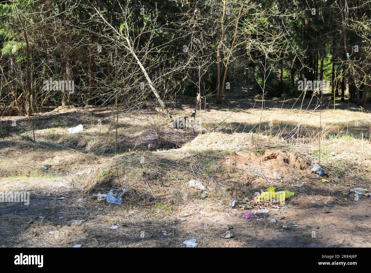 Dirty forest glade polluted by household waste in the forest. Concept ...
