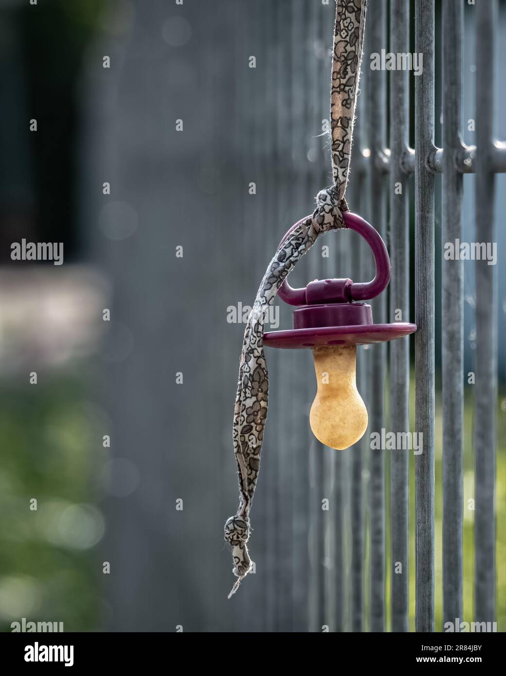 close up of a lost pacifier hanging on a metal fence as baby, child ...