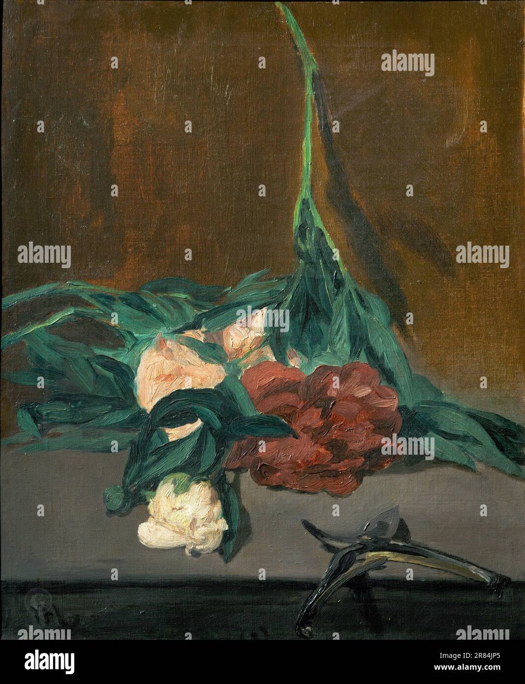 Asdassd hi-res stock photography and images - Alamy