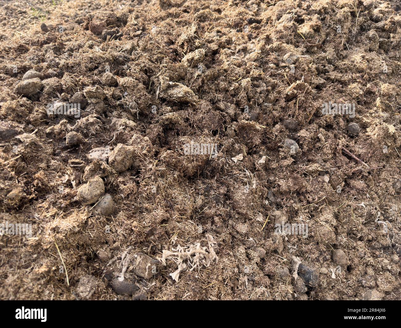 Stable droppings hi-res stock photography and images - Alamy