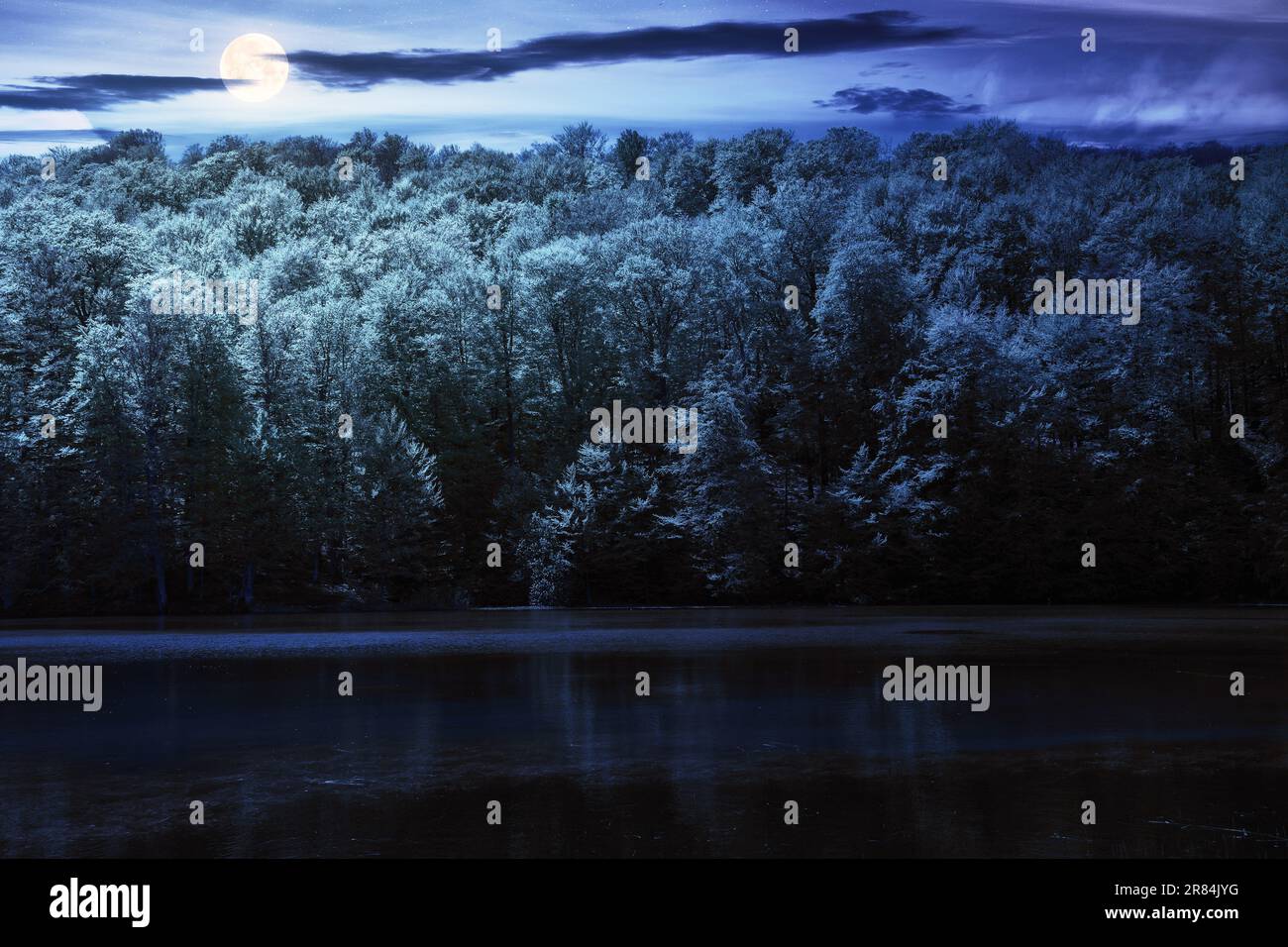 lake among the forest at night. trees reflecting in the water. midnight ...