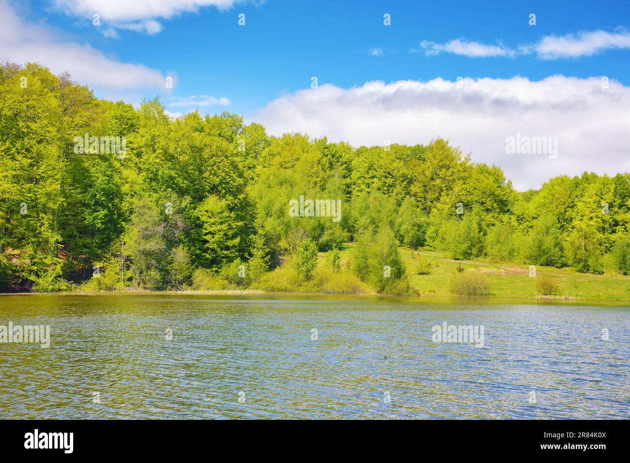 scenery with mountain pond. forest reflecting in the water surface ...