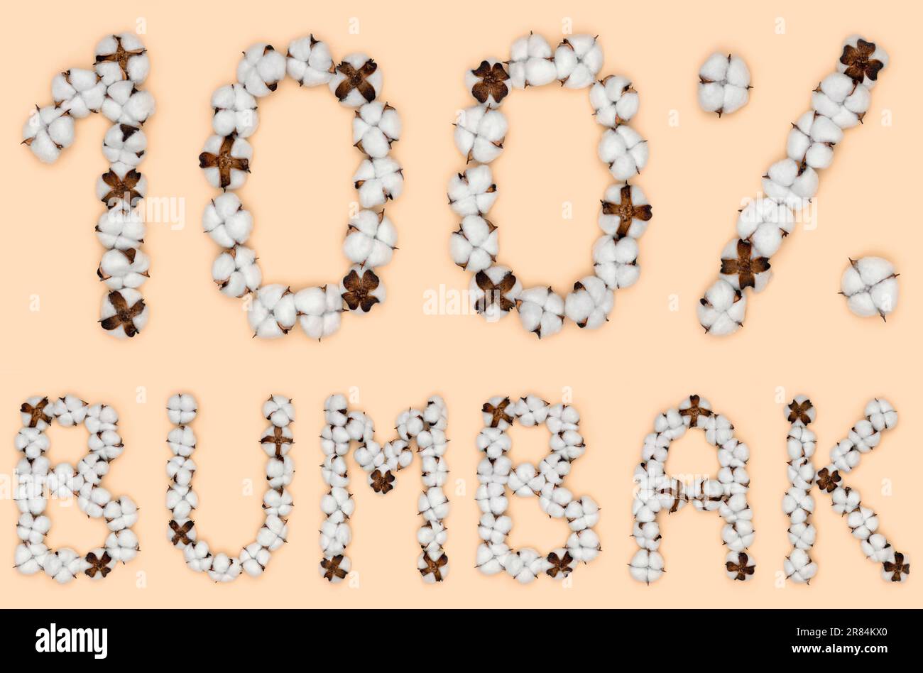 Lettering 100 Bumbac From Rumanian Language Means Cotton Made Of
