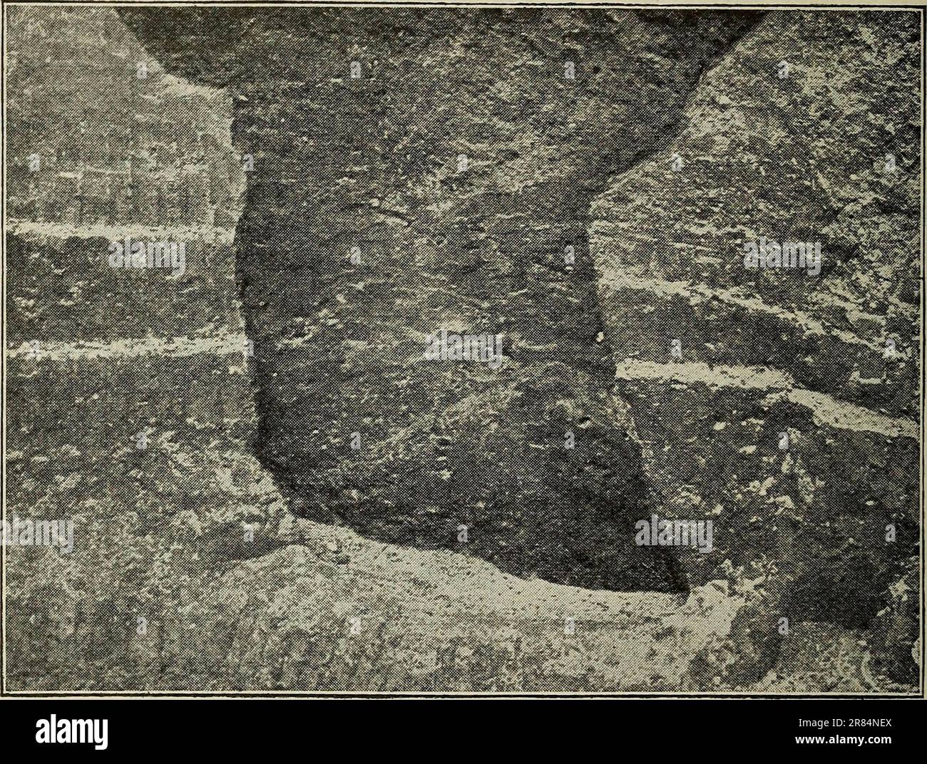 A full cross section view of the shaft made by Squier & Daviswhen they ...