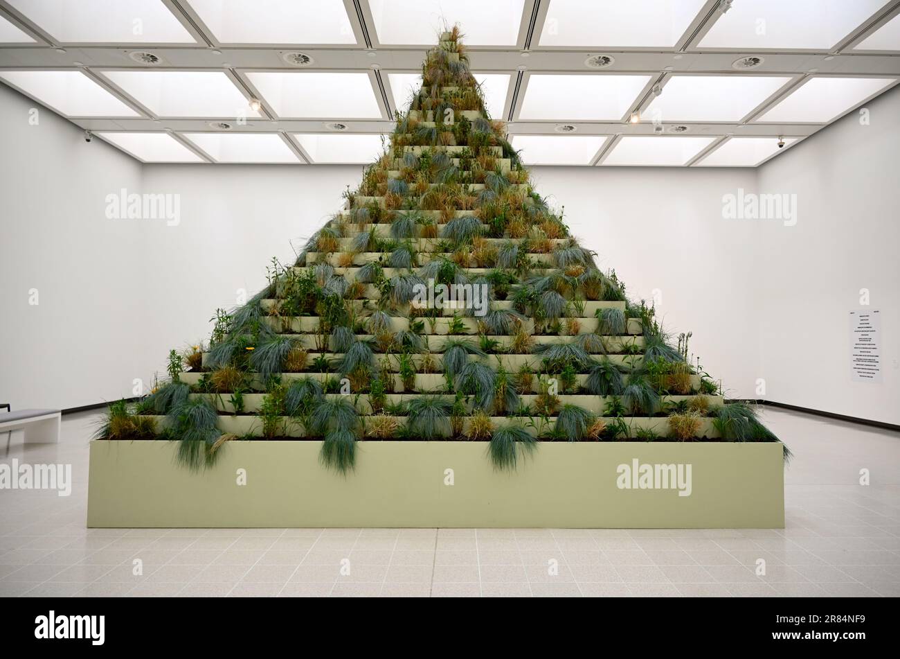 Diffirent forms of care are made visible throughout the exhibition ...