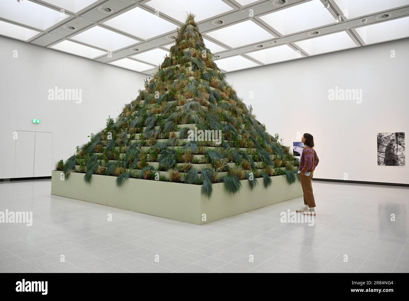 Diffirent forms of care are made visible throughout the exhibition ...