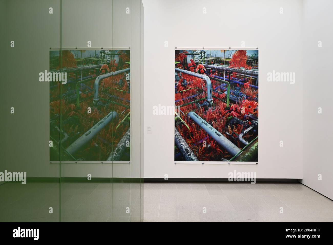 Diffirent forms of care are made visible throughout the exhibition ...