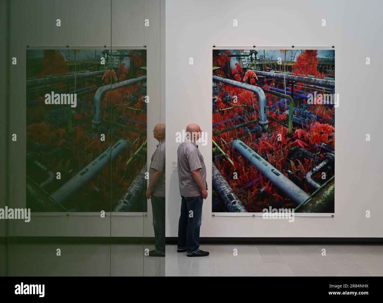 Diffirent forms of care are made visible throughout the exhibition ...