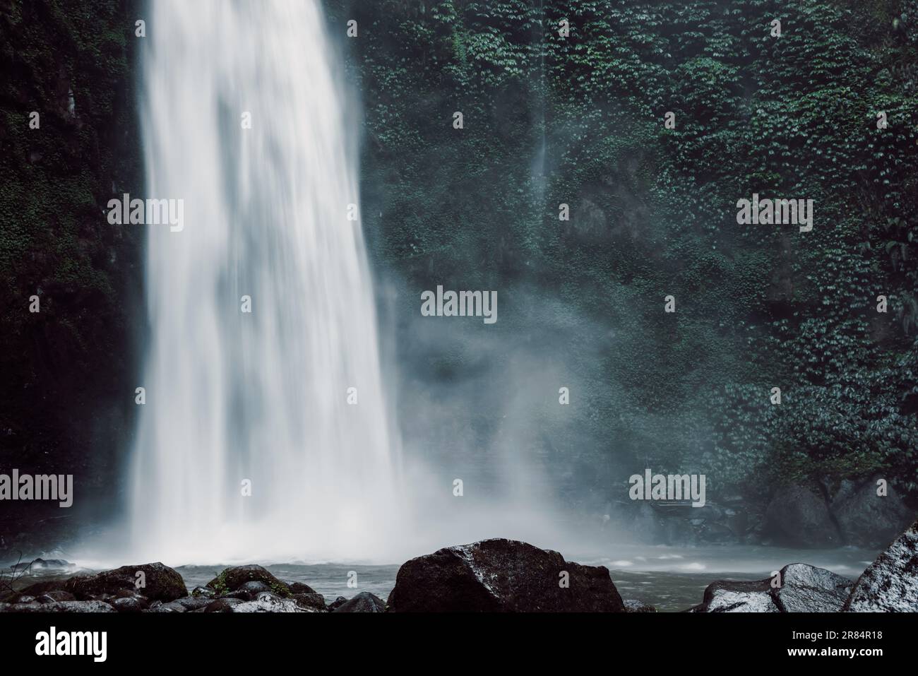 Waterfall with powerful flow in Bali, Indonesia. Tropical nature and ...
